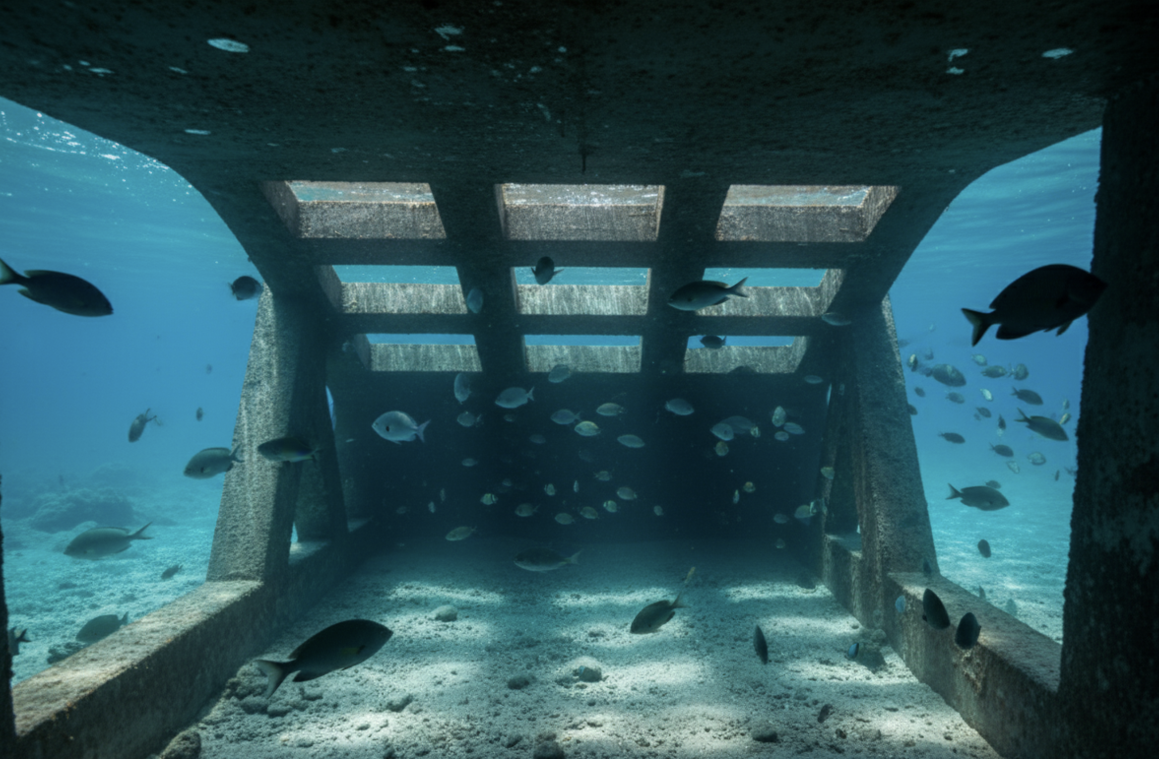 SECS USA - Patented Modular Coastal Protection Systems